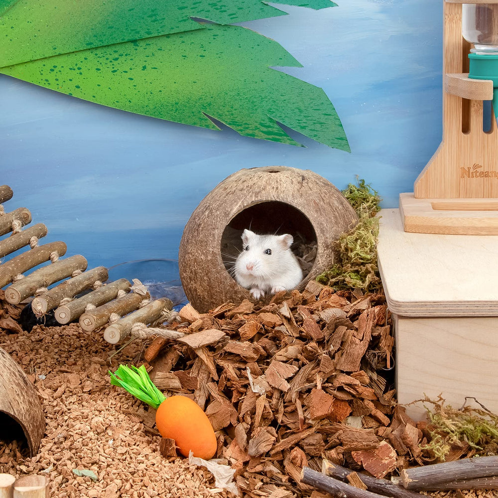 andwe Coconut Hut Hamster House Bed for Gerbils & Mice | Small Animal ...