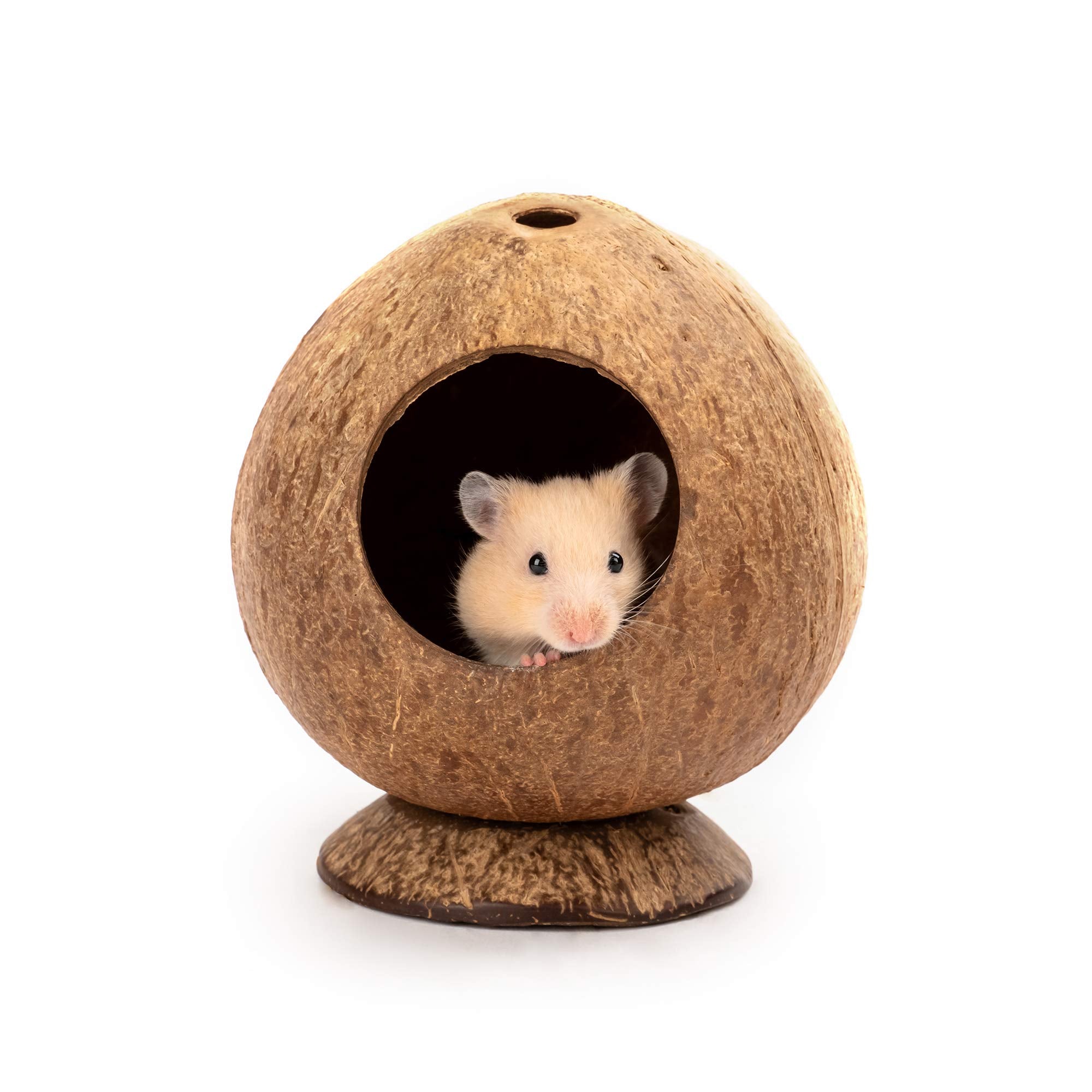 andwe Coconut Hut Hamster House Bed for Gerbils & Mice | Small Animal ...