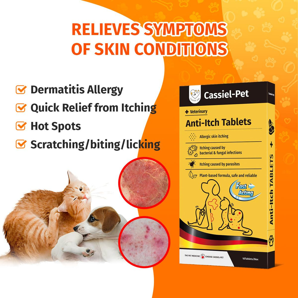 Cassiel pet Dog Allergy Relief Chews – Itch Relief & Skin Support for ...