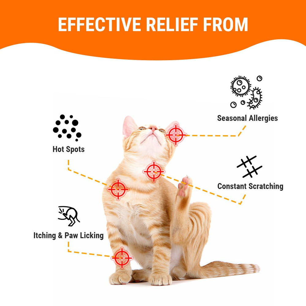 Cassiel pet Dog Allergy Relief Chews – Itch Relief & Skin Support for ...