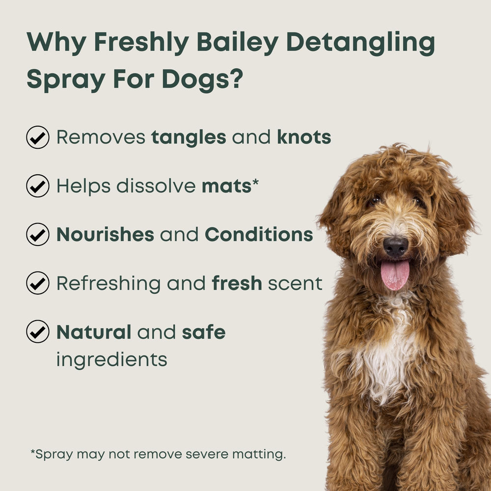 Freshly Bailey Doodle Detangler Spray – Natural Leave-In Conditioner f ...