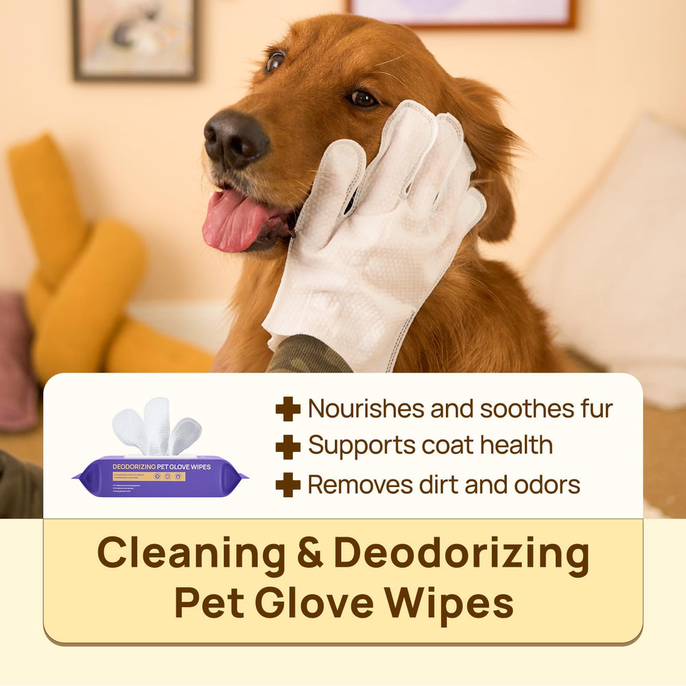 HICC PET Cleaning Deodorizing Glove Wipes for Dogs & Cats — Hypoallerg ...