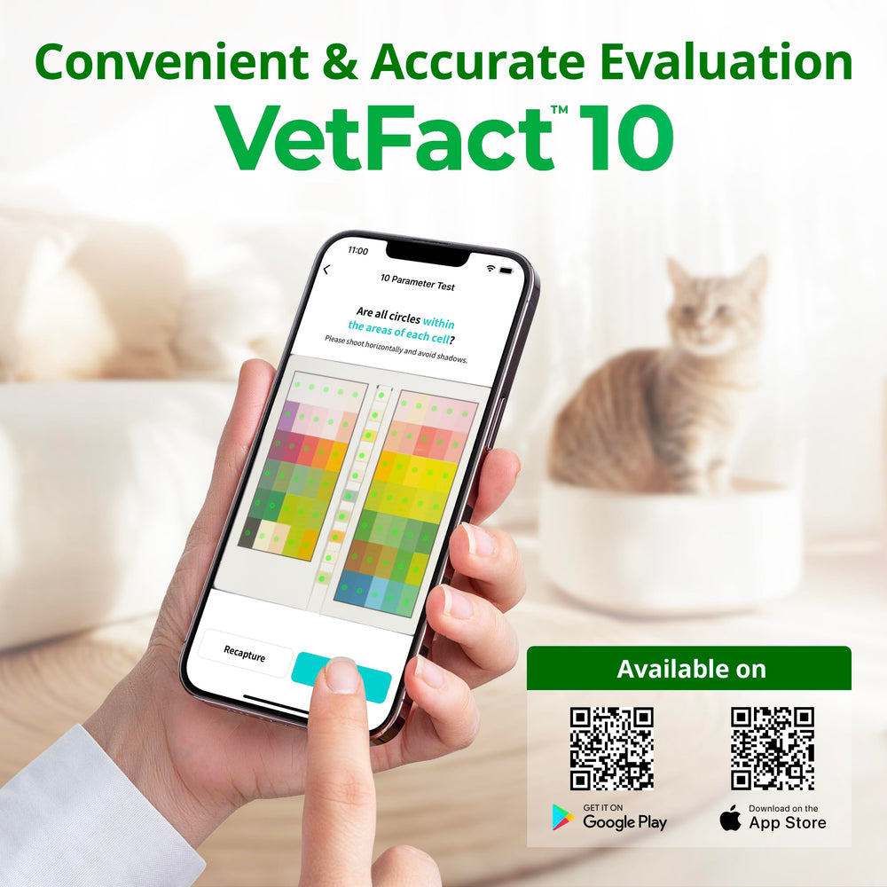 VetFact 5Kits: Free Mobile App + 10-Parameter Urine Test Strips for Ca ...