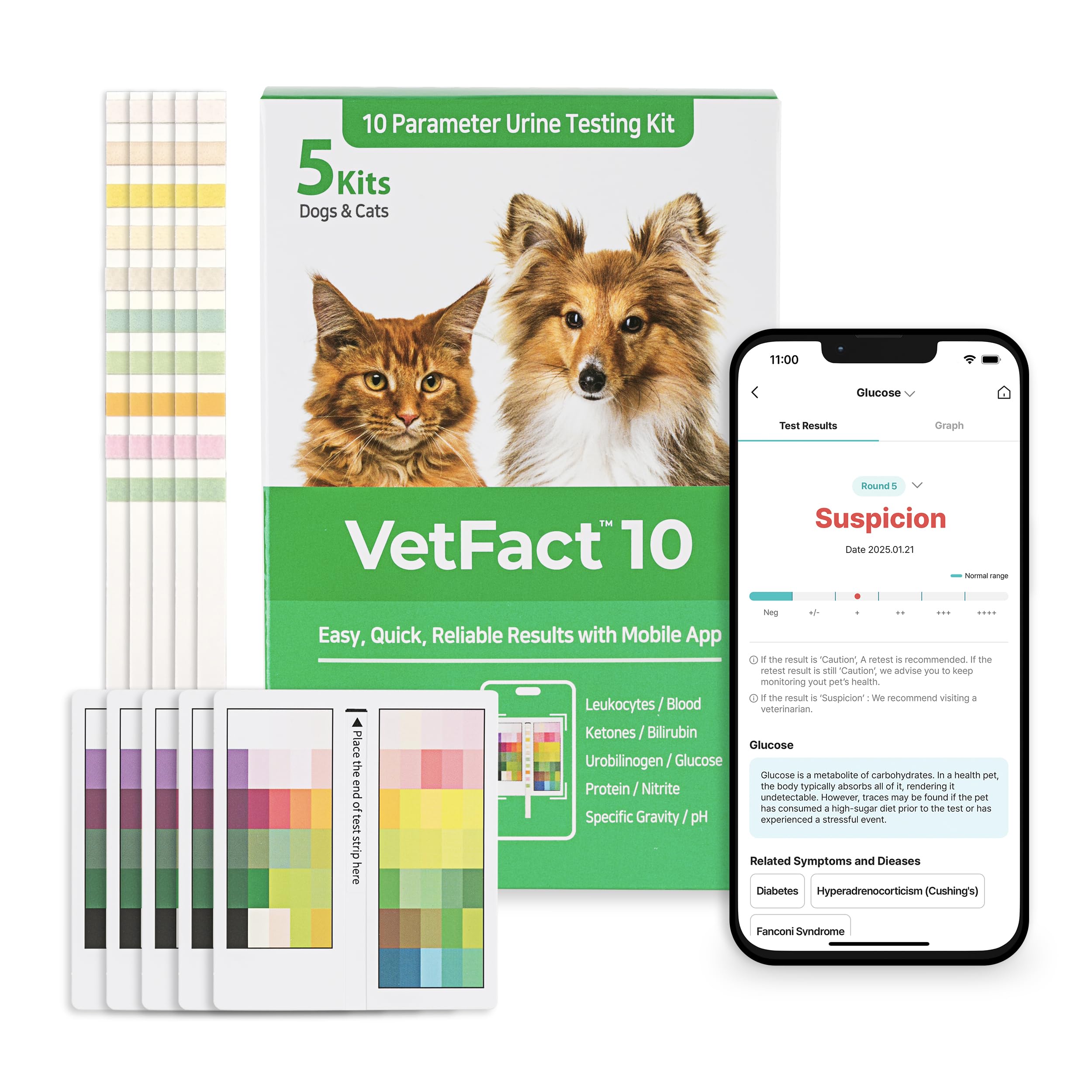 VetFact 5Kits: Free Mobile App + 10-Parameter Urine Test Strips for Ca ...