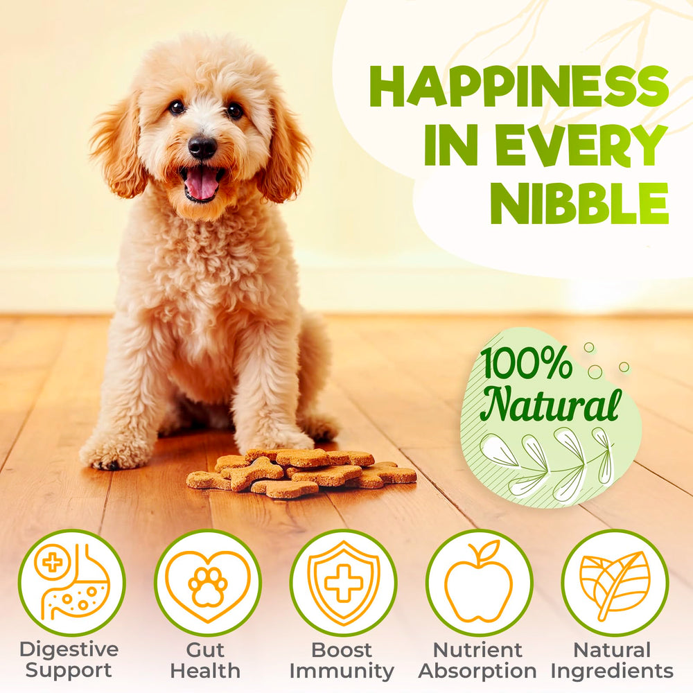 ZENO Probiotics for Dogs Chews — Digestive Support, Vet-Approved US Fo ...
